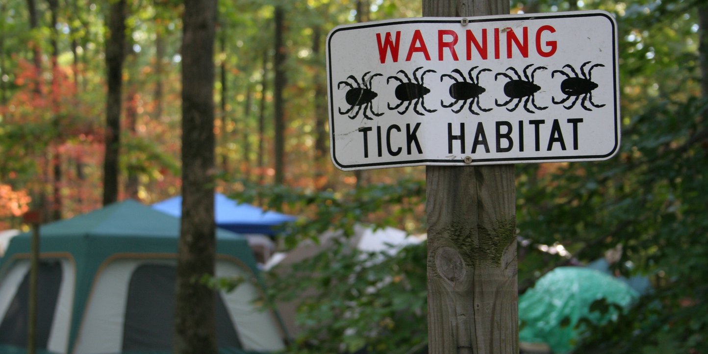 How To Prevent Tick and Mosquito Bites When Camping