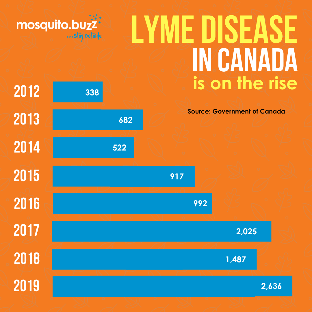 How Ticks Spread Lyme Disease