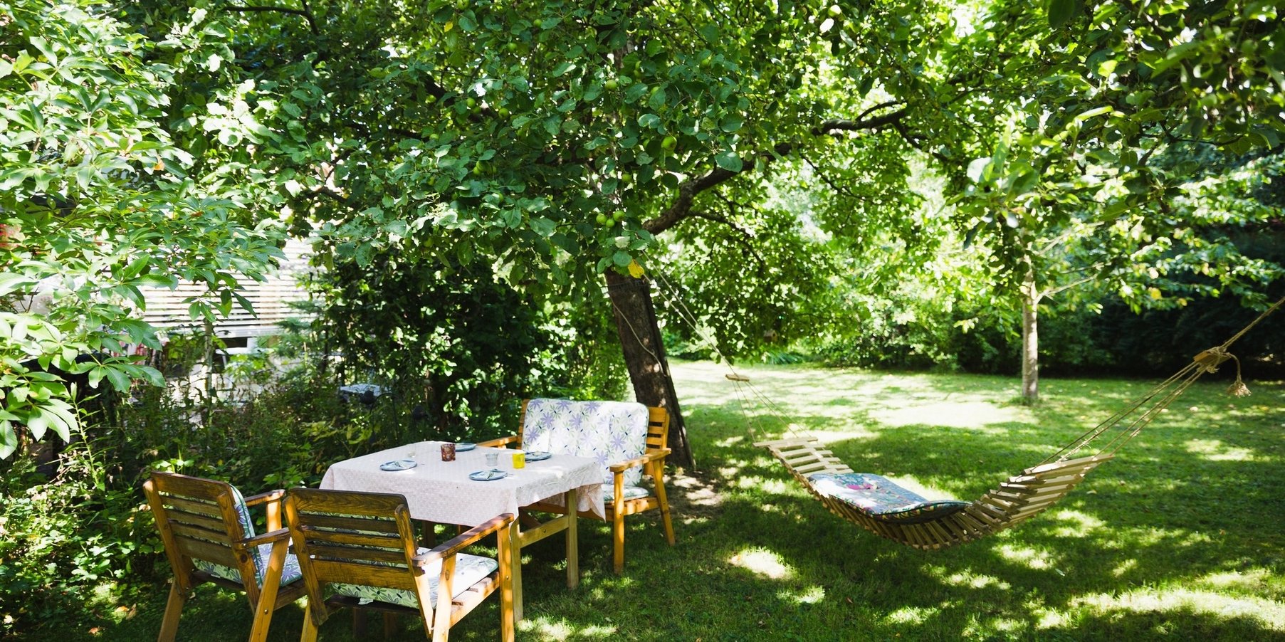 10 Places Where Mosquitoes Hide