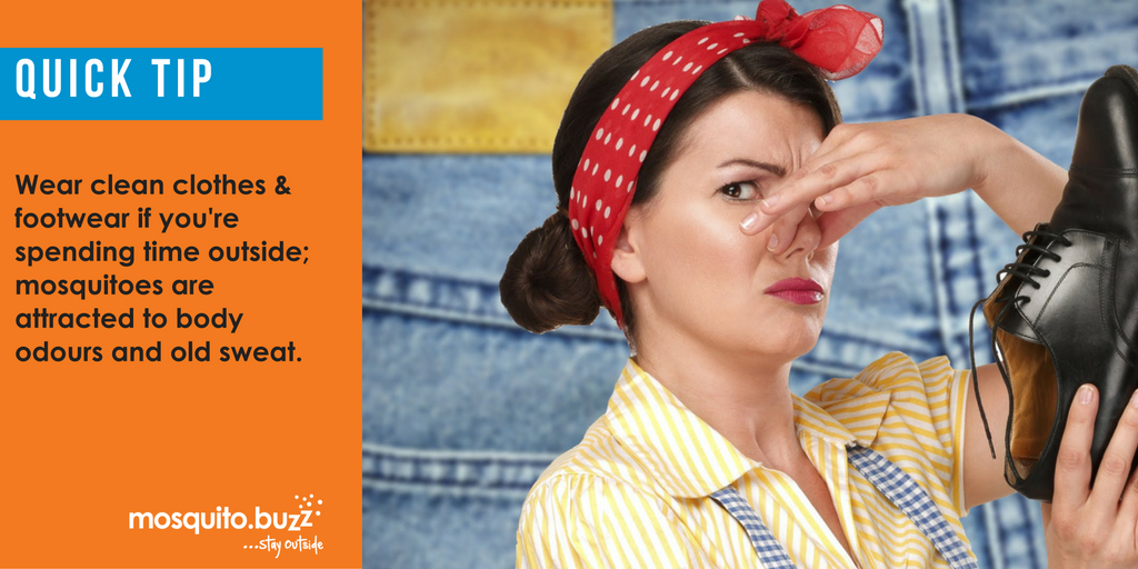 What Smells Are Mosquitoes Attracted To?